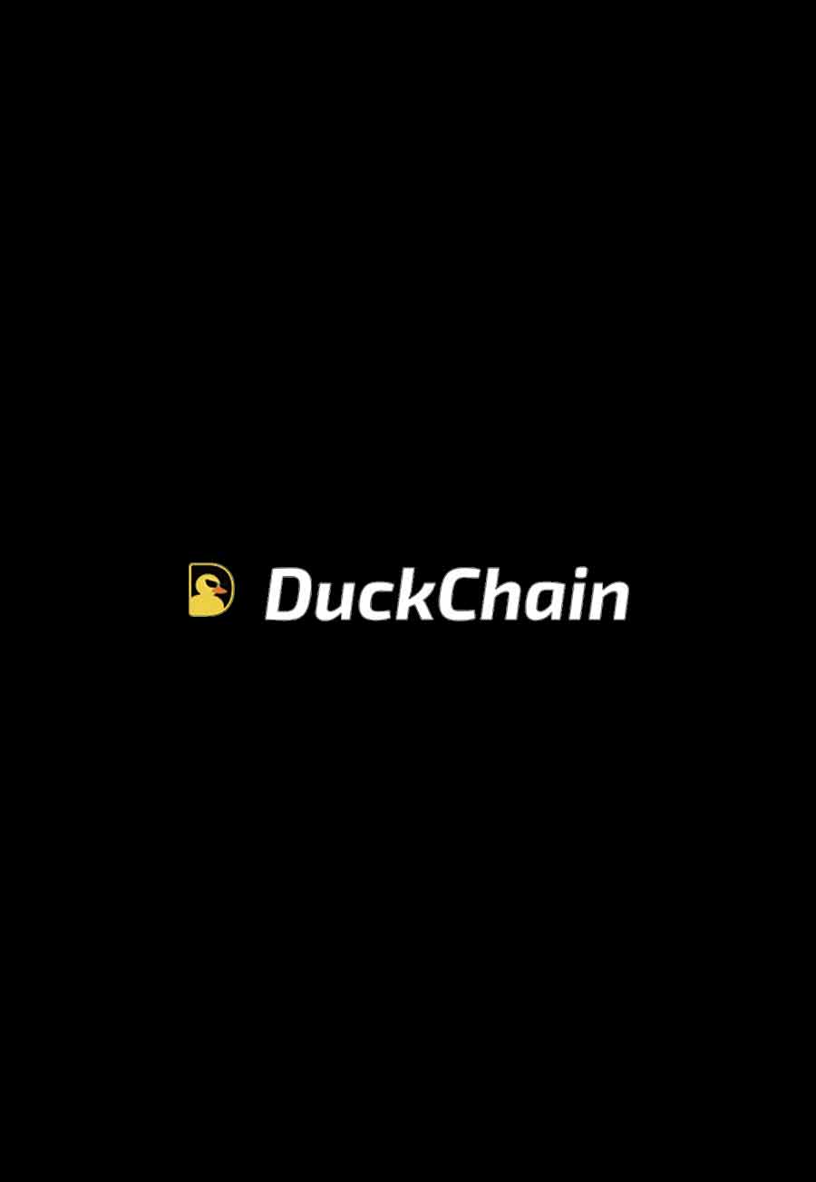 融資項目解密：基於 TON 的 EVM 相容 L2 網路 DuckChain，能否成為 TON 生態擴張的核心橋樑？ – Web3Caff Resear